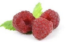 Cascadian Wild Raspberry White Balsamic | Nectar De La Vida